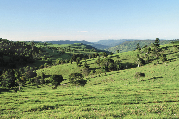Beechmont-QLD-large-2.jpg - Ausfilm
