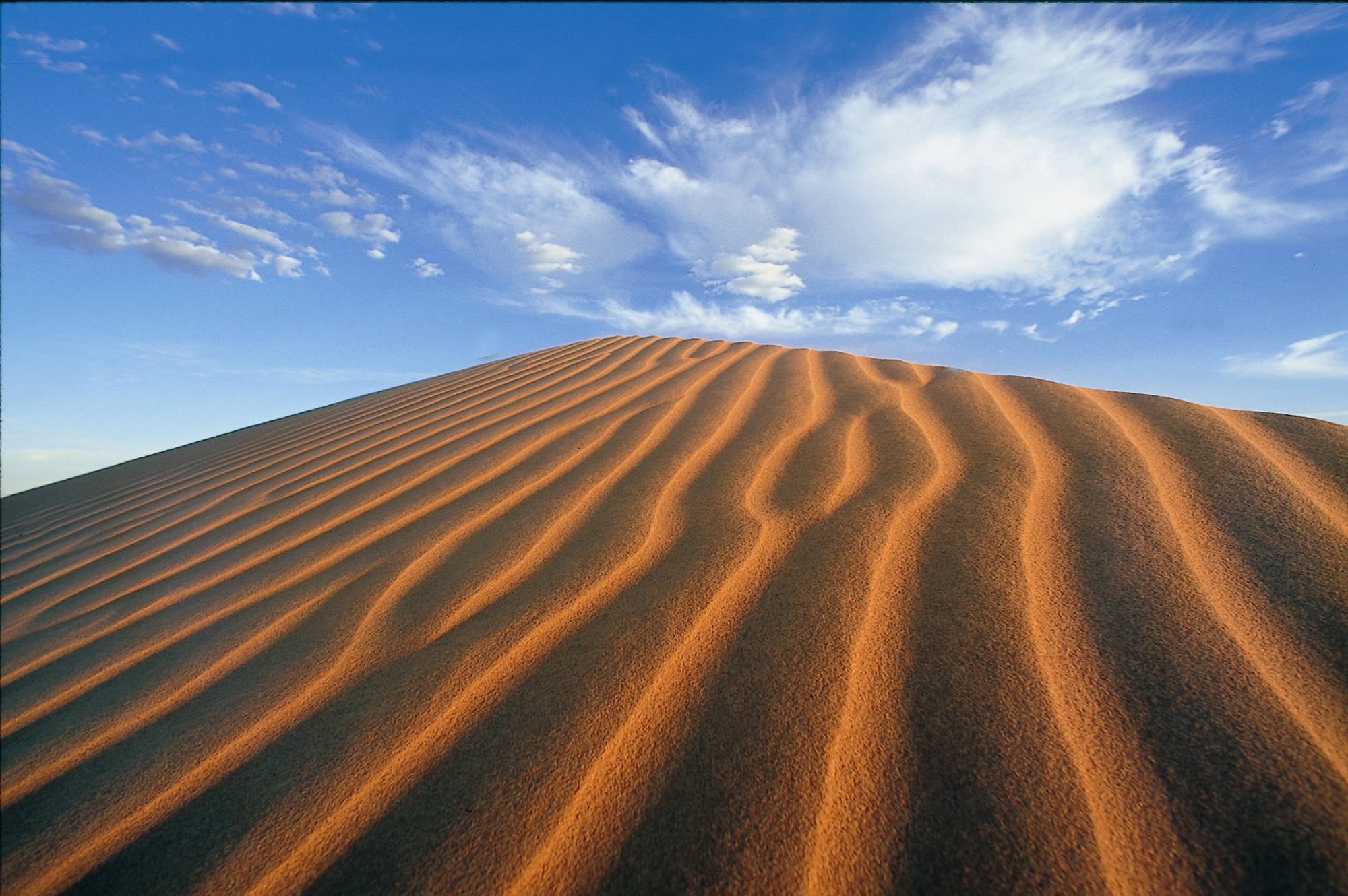 Simpson Desert which is south of Alice Springs - Ausfilm